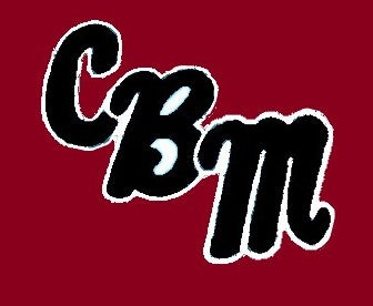 Black Cylinders (Sold in pairs) – CBM Hydraulics